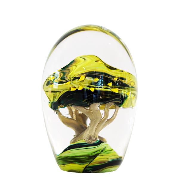 Kowhai Tree Paperweight | New Zealand Glass Art | Lava Glass